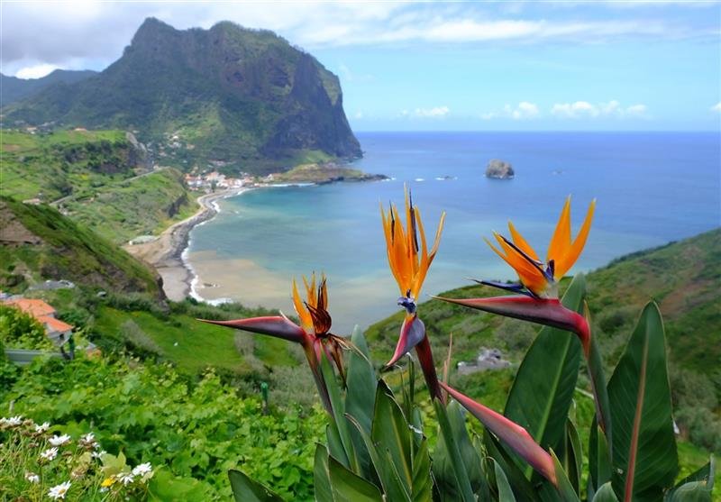 Madeira - jednodenní túry Portugalsko Madeira | New Travel.cz